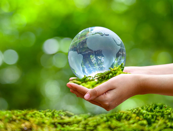 Environmental Science Excellence Program - LearnTopia